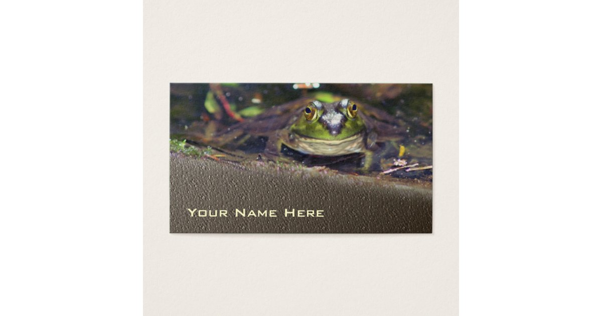 Bullfrog Face Nature | Zazzle