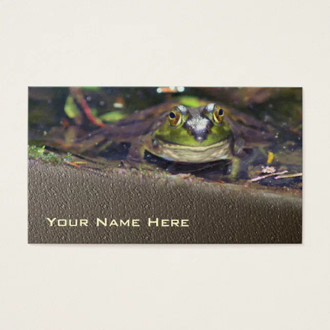 Bullfrog Face Nature | Zazzle