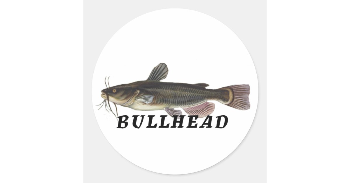 Bullhead Classic Round Sticker | Zazzle