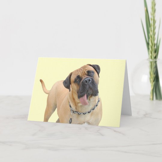 Bullmastiff Birthday Card by Focus for a Cause | Zazzle.com