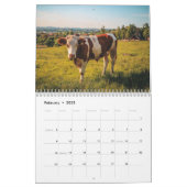 Bulls Calendar | Zazzle
