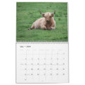 Bulls Calendar | Zazzle