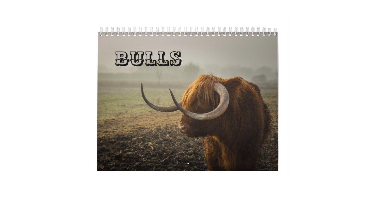 Bulls Calendar | Zazzle