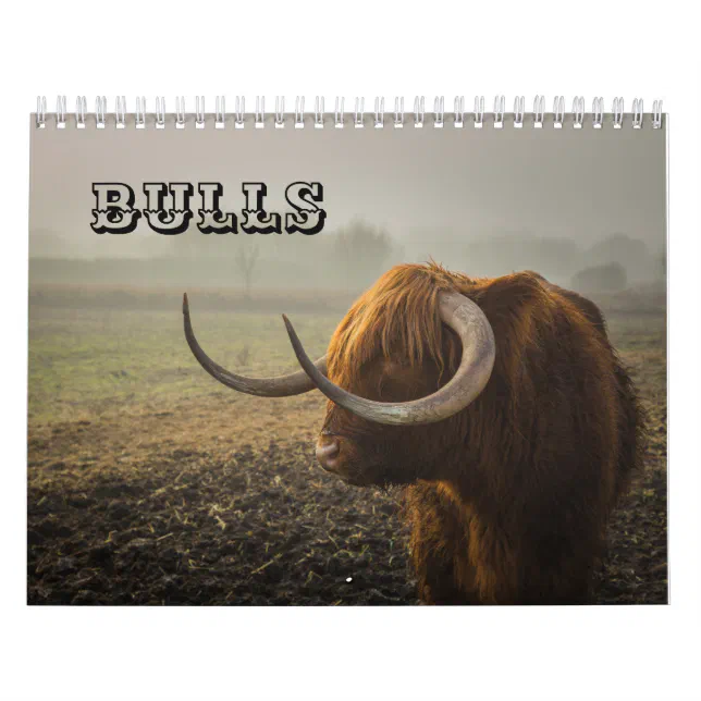 Bulls Calendar | Zazzle