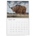 Bulls Calendar | Zazzle