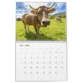 Bulls Calendar | Zazzle