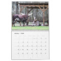 Bulls Calendar | Zazzle