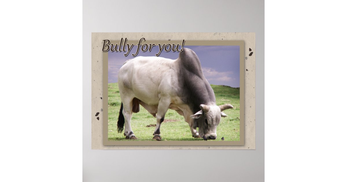 Bully For You! Brahma Bull Poster Print | Zazzle