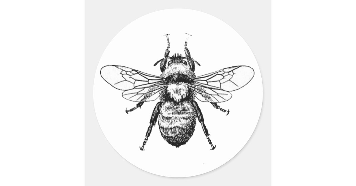 Bumble Bee Classic Round Sticker | Zazzle