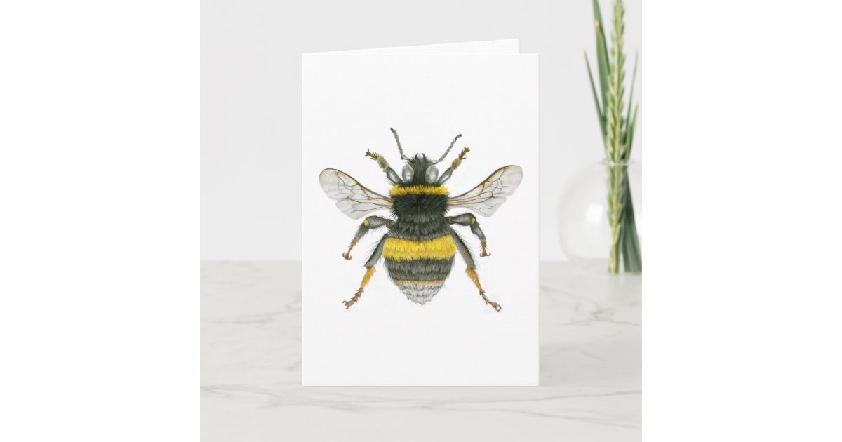 Bumble Bee Greetings Card | Zazzle