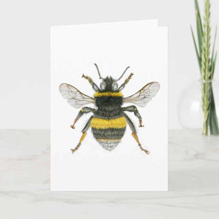 Bumble Bee Greetings Card | Zazzle
