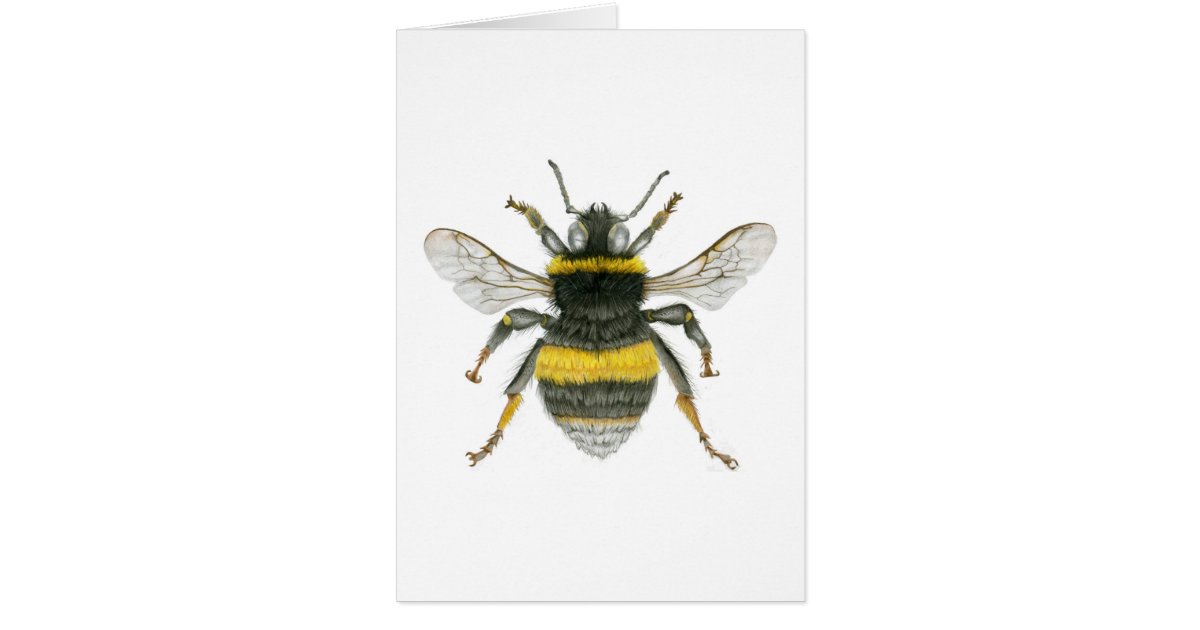 Bumble Bee Greetings Card | Zazzle.com