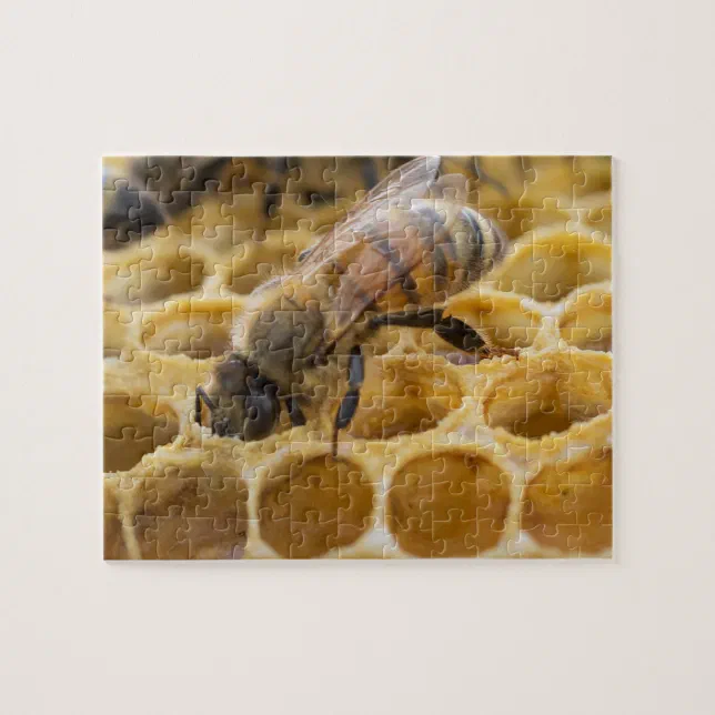 Bumble Bee Inside Honeycomb Jigsaw Puzzle | Zazzle