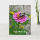 Bee My Honey Mother's Day Card | Zazzle.com
