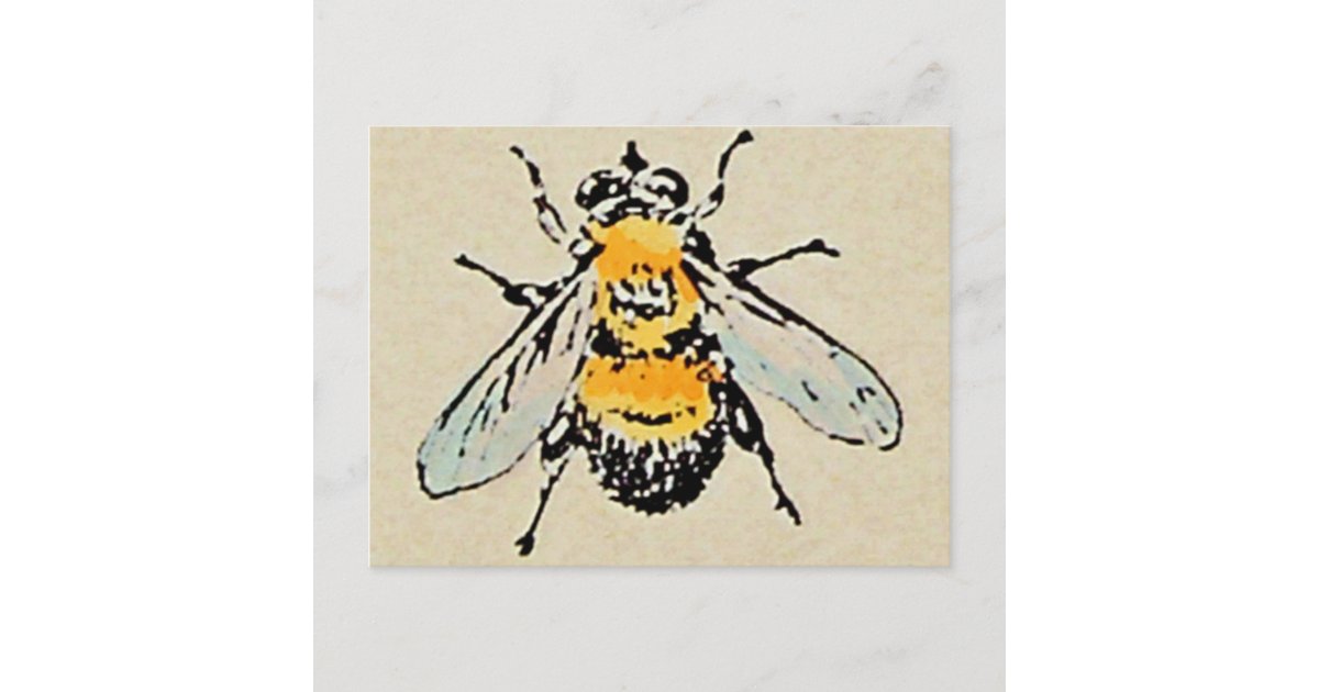 Bumble Bee postcard | Zazzle