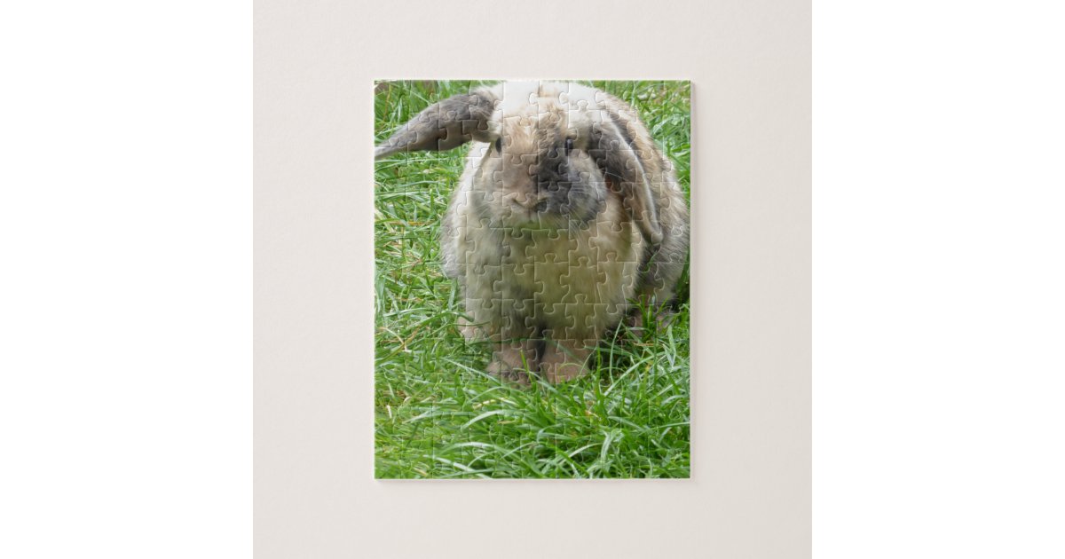 Bumble Rabbit Jigsaw Puzzle | Zazzle