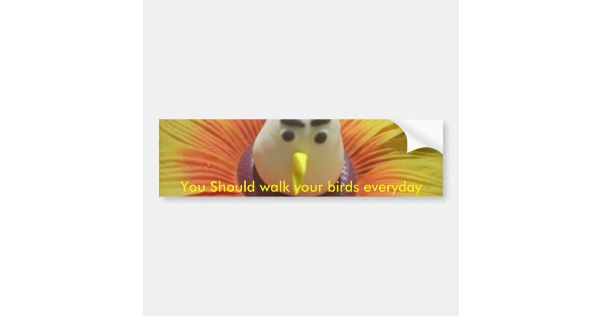 Bumper Sticker Template Car Bumper Sticker | Zazzle