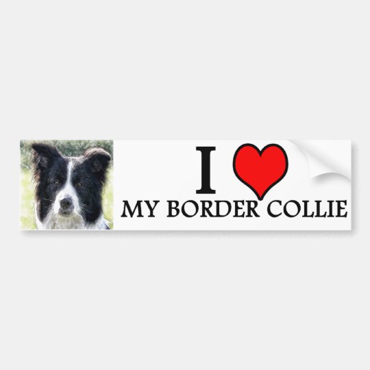 My Border Collie is Smarter Than Your Honor... Bumper Sticker | Zazzle.com