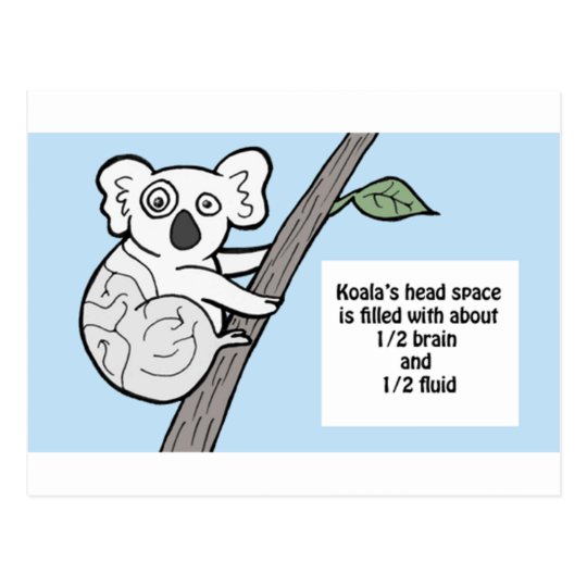 Bumpy Brains Koala Postcard | Zazzle.com