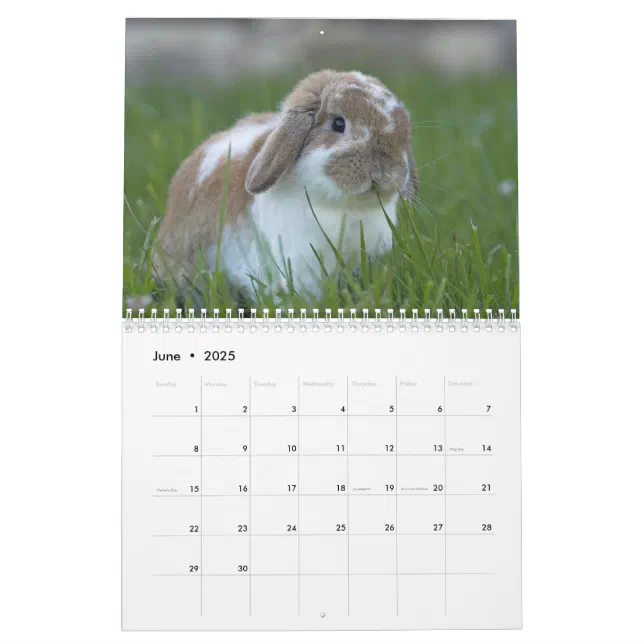 Bunnies 2016 - 12 Months of Cute Bunny Rabbits Calendar | Zazzle