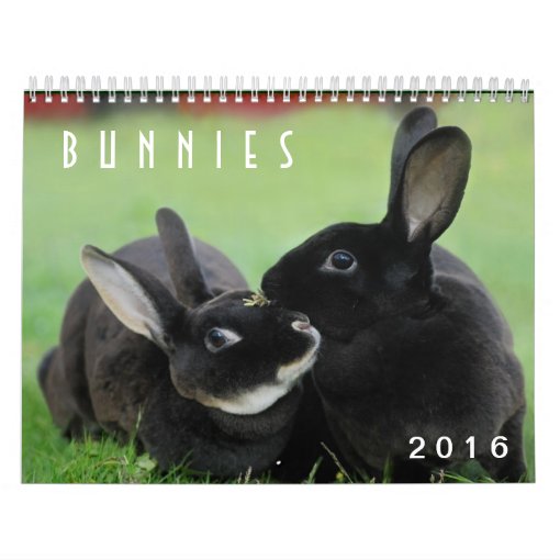 Bunnies 2016 - 12 Months of Cute Bunny Rabbits Calendar | Zazzle