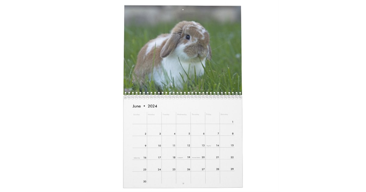 Bunnies 2016 - 12 Months of Cute Bunny Rabbits Calendar | Zazzle