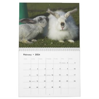 Bunnies 2016 - 12 Months of Cute Bunny Rabbits Calendar | Zazzle
