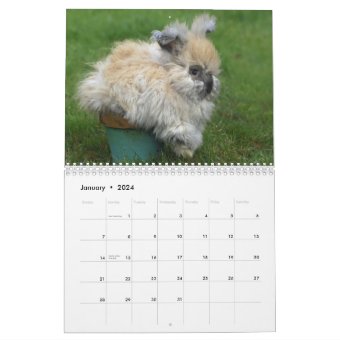 Bunnies 2016 - 12 Months of Cute Bunny Rabbits Calendar | Zazzle