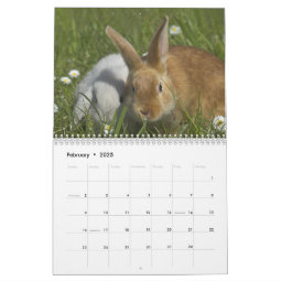 Bunnies 2018 - 12 Months of Cute Bunny Rabbits Calendar | Zazzle