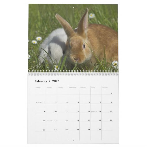 Bunnies 2018 - 12 Months of Cute Bunny Rabbits Calendar | Zazzle
