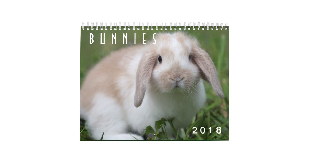 Bunnies 2018 - 12 Months of Cute Bunny Rabbits Calendar | Zazzle