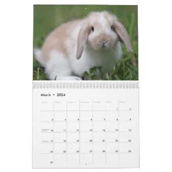 Bunnies 2018 - 12 Months of Cute Bunny Rabbits Calendar | Zazzle