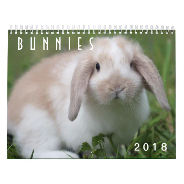 Bunnies 2018 - 12 Months of Cute Bunny Rabbits Calendar | Zazzle