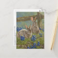 Bunnies & Bluebonnets Postcard | Zazzle