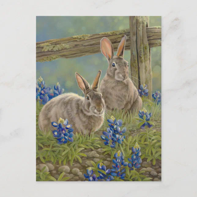 Bunnies & Bluebonnets Postcard | Zazzle