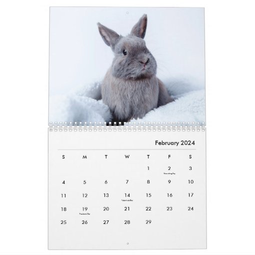 Bunnies Wall Calendar | Zazzle