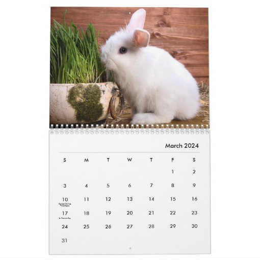 Bunnies Wall Calendar | Zazzle
