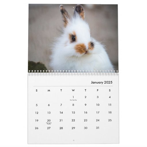 Bunnies Wall Calendar | Zazzle