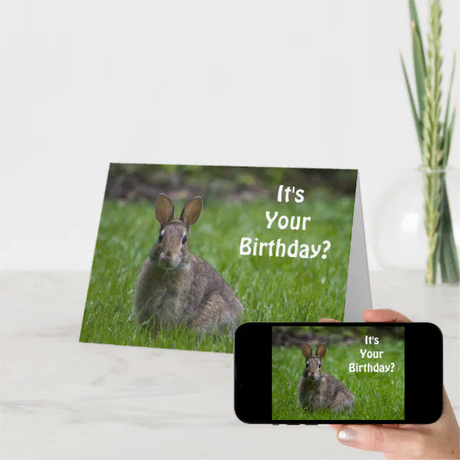 Bunny Birthday Card | Zazzle