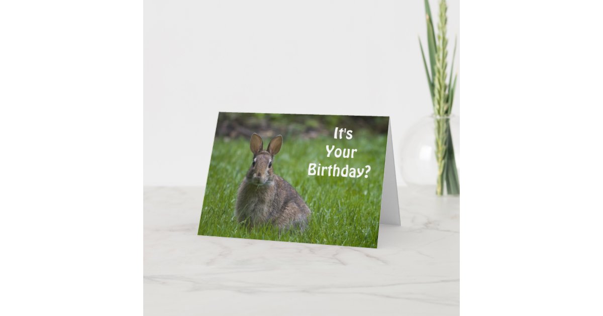 Bunny Birthday Card | Zazzle