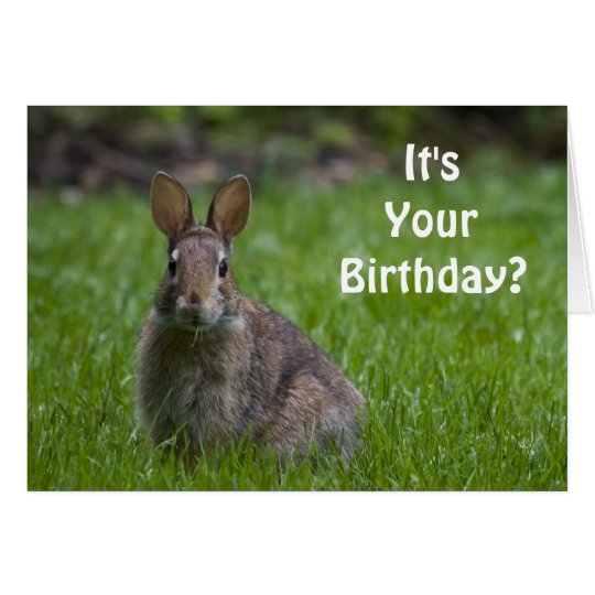 Bunny Birthday Card | Zazzle.com