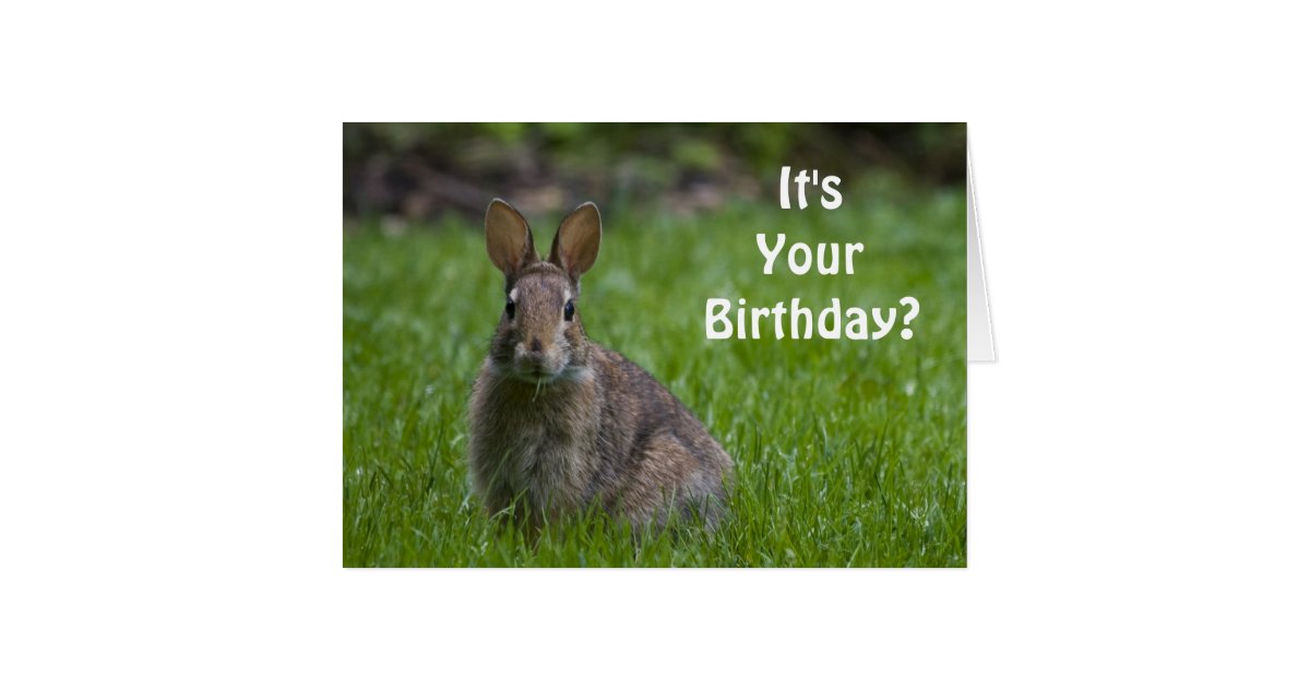 Bunny Birthday Card | Zazzle.com