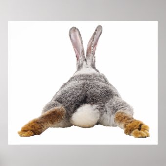 Bunny Butt Rabbit Bubble Nursery Child Poster | Zazzle