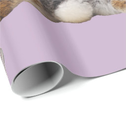 Bunny Butt Tail Funny Cute Easter Spring Wrapping Paper | Zazzle