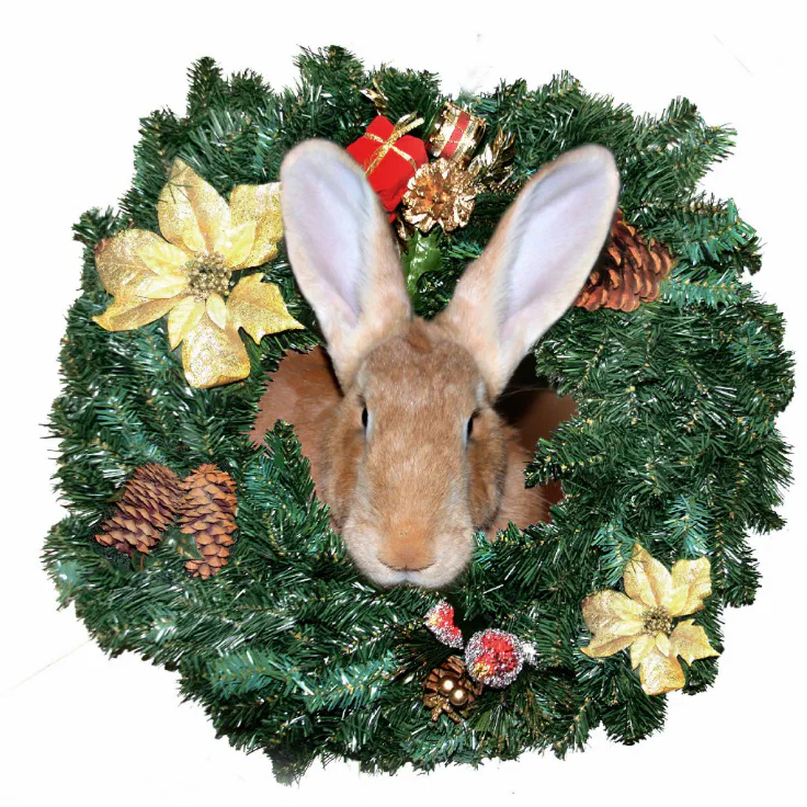 Bunny Christmas ornament | Zazzle