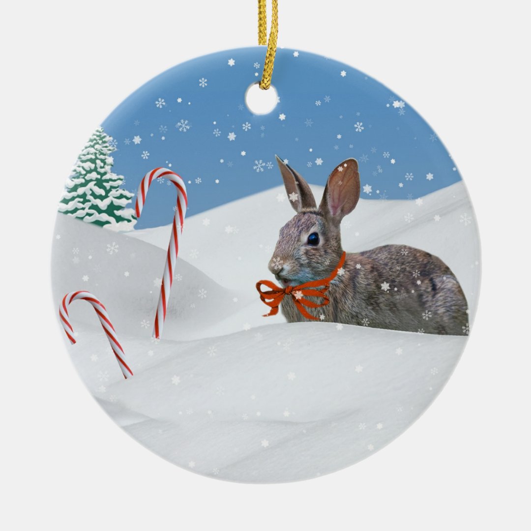 Bunny in the Snow Christmas Ornament | Zazzle
