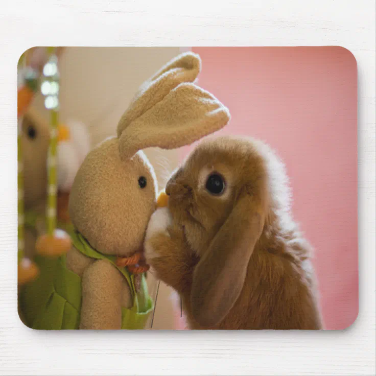 Bunny Kissing "Stuffed Toy Bunny" Mousepad | Zazzle