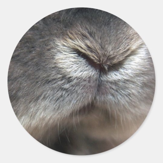 Bunny Nose Classic Round Sticker | Zazzle.com