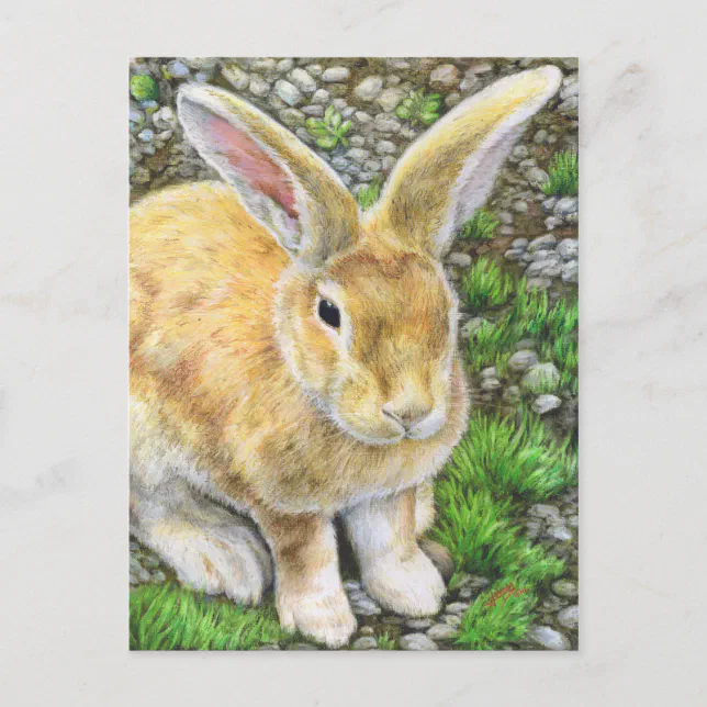 Bunny Pastel Postcard | Zazzle
