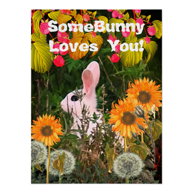 Bunny Rabbit Animal Wildlife Poster | Zazzle